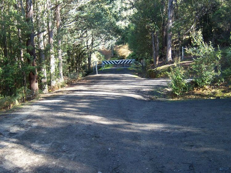 Myrtle Forest | Greater Hobart Trails
