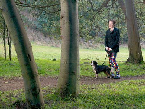 New Town Rivulet Track | Greater Hobart Trails