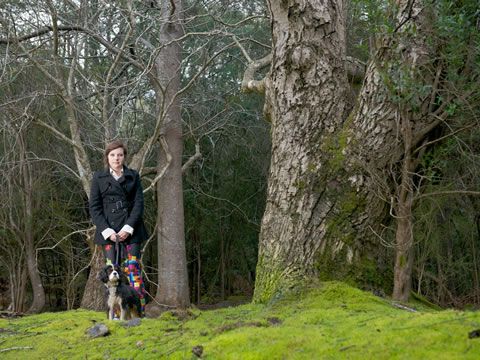 New Town Rivulet Track | Greater Hobart Trails