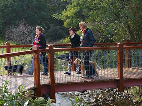 New Town Rivulet Track | Greater Hobart Trails