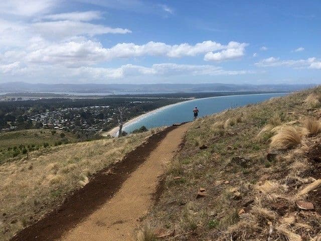 Single Hill Track | Greater Hobart Trails