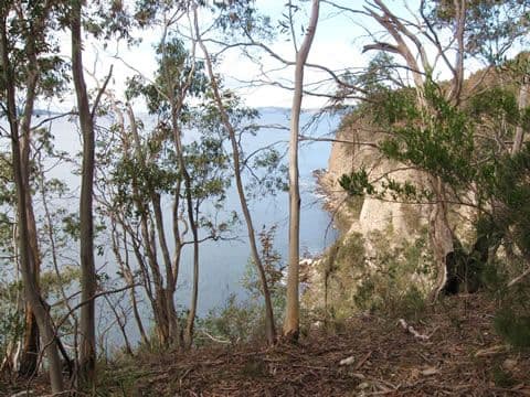 Alum Cliffs Track | Greater Hobart Trails