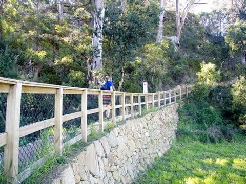 Alum Cliffs Track | Greater Hobart Trails