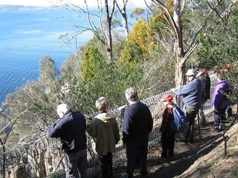 Alum Cliffs Track | Greater Hobart Trails