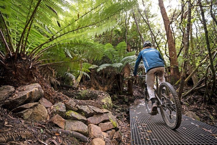 Riding the Mountain | Greater Hobart Trails