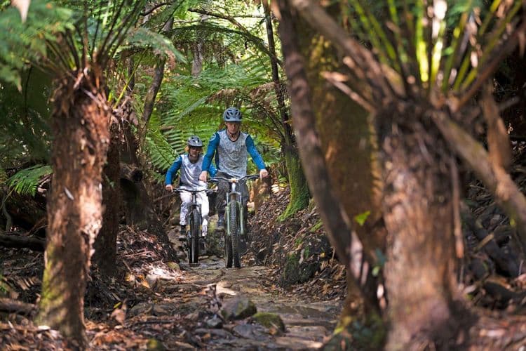 Riding the Mountain | Greater Hobart Trails