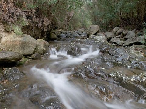 Greater Hobart Trails
