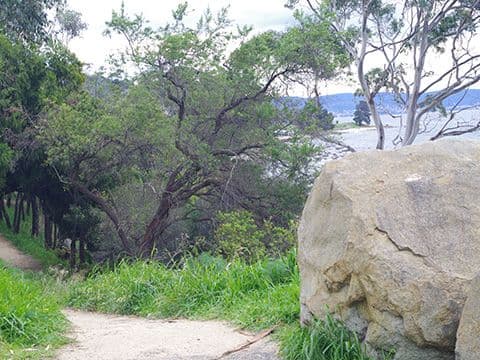 Alum Cliffs Track | Greater Hobart Trails